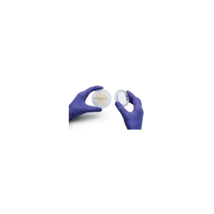 SARTORIUS,NUTRIENT PAD SCHAUFUS-POTTINGER(6)Ø-47MM,1 * 100 ite ms - buy now