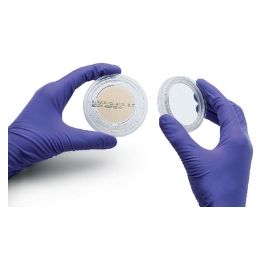 SARTORIUS,NUTRIENT PAD SCHAUFUS-POTTINGER(6)Ø-47MM,1 * 100 ite ms - buy now